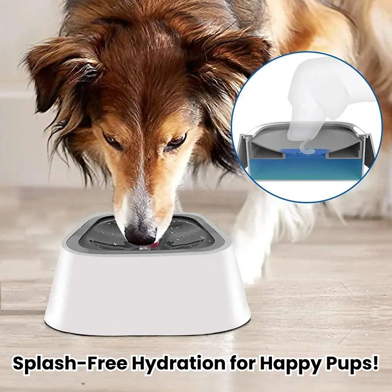SplashLock™ Non-Spill Pet Hydrator Bowl – Brixstr
